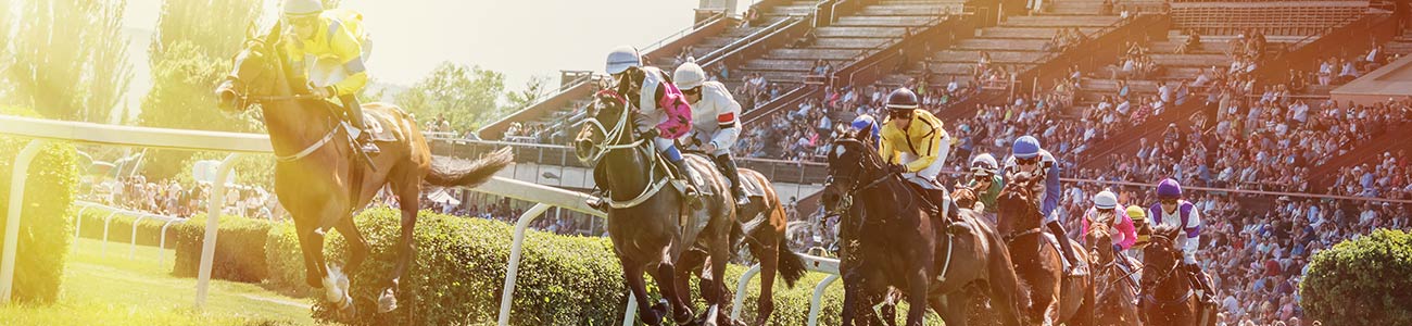 UK Sports Events Calendar 2024/25 | National Express Transport Solutions